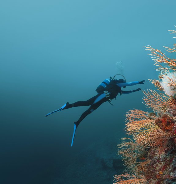 AXA Investment Managers | Home | AXA IM HK